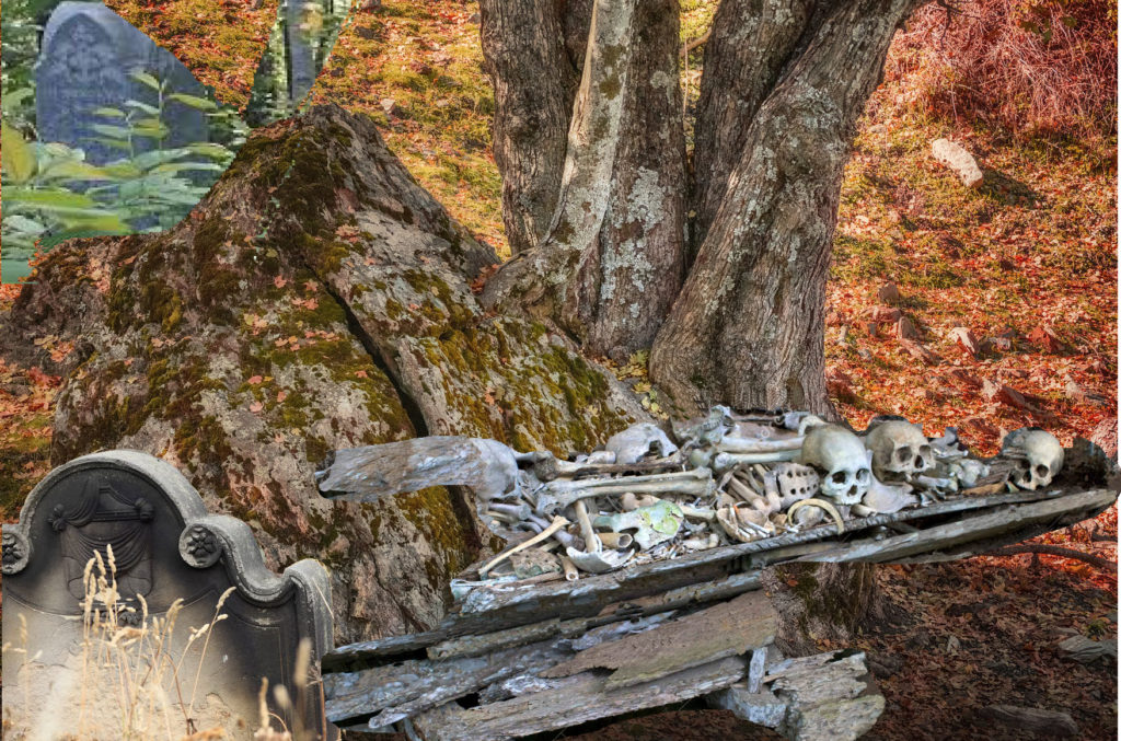 Digging Up Bones - Portals: Susan Carnes's Blog